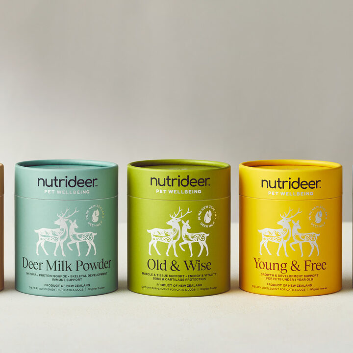 Fresh From the Field — Te Whāriki Kiokio Interactive Installation by ...