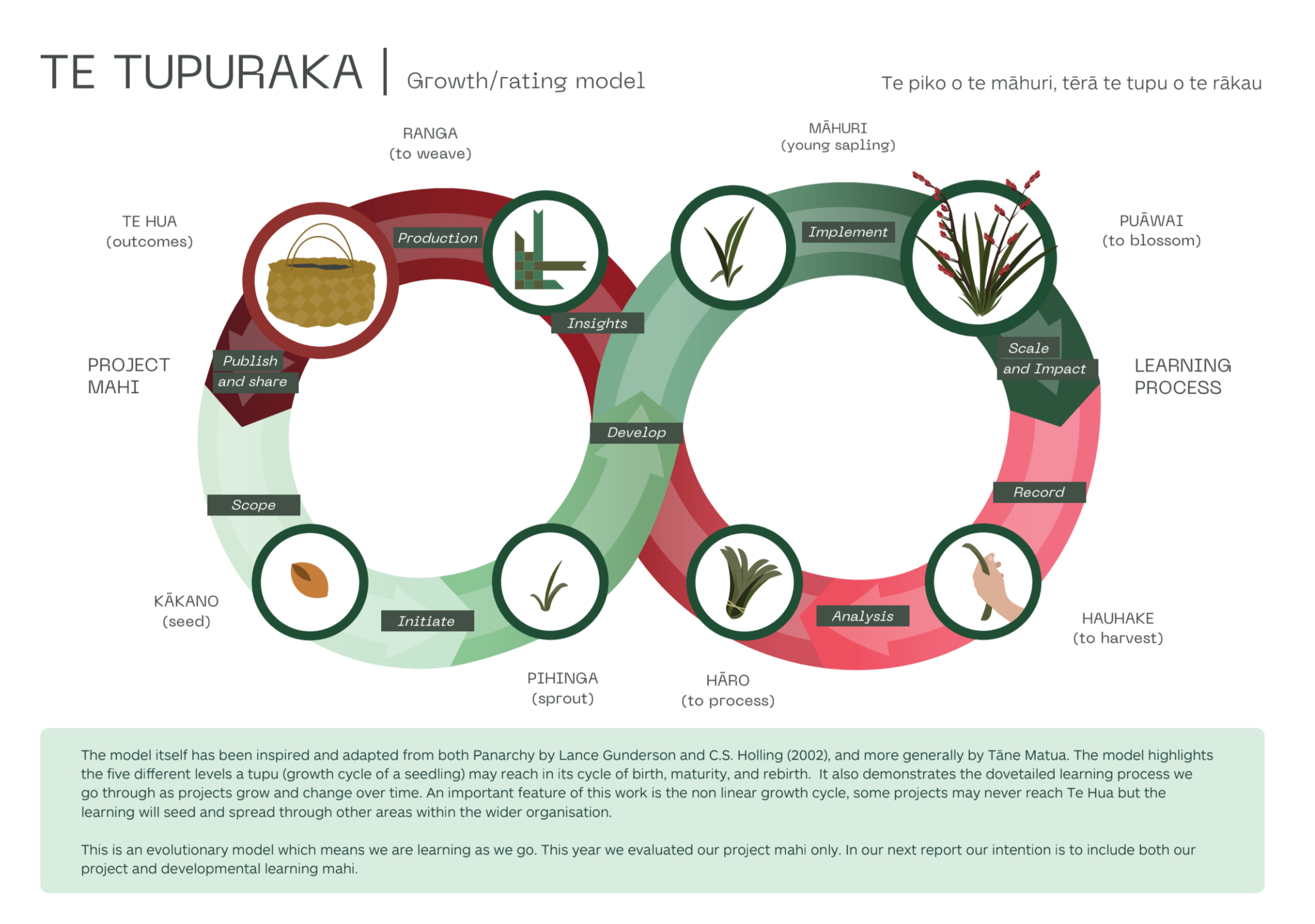 The Power of Te Taiao (Nature) as a Metaphor for Design - Design Assembly