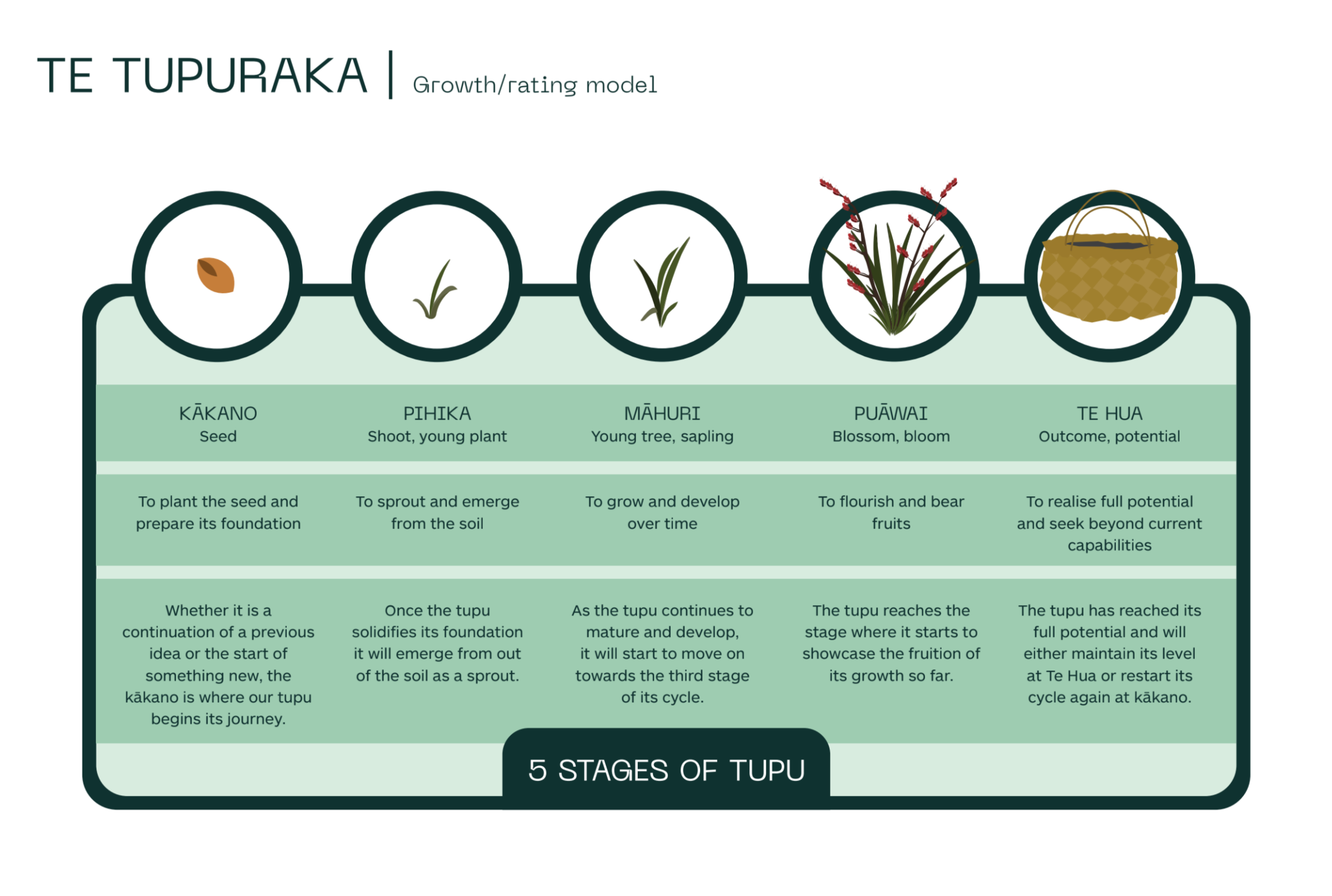 The Power of Te Taiao (Nature) as a Metaphor for Design - Design Assembly