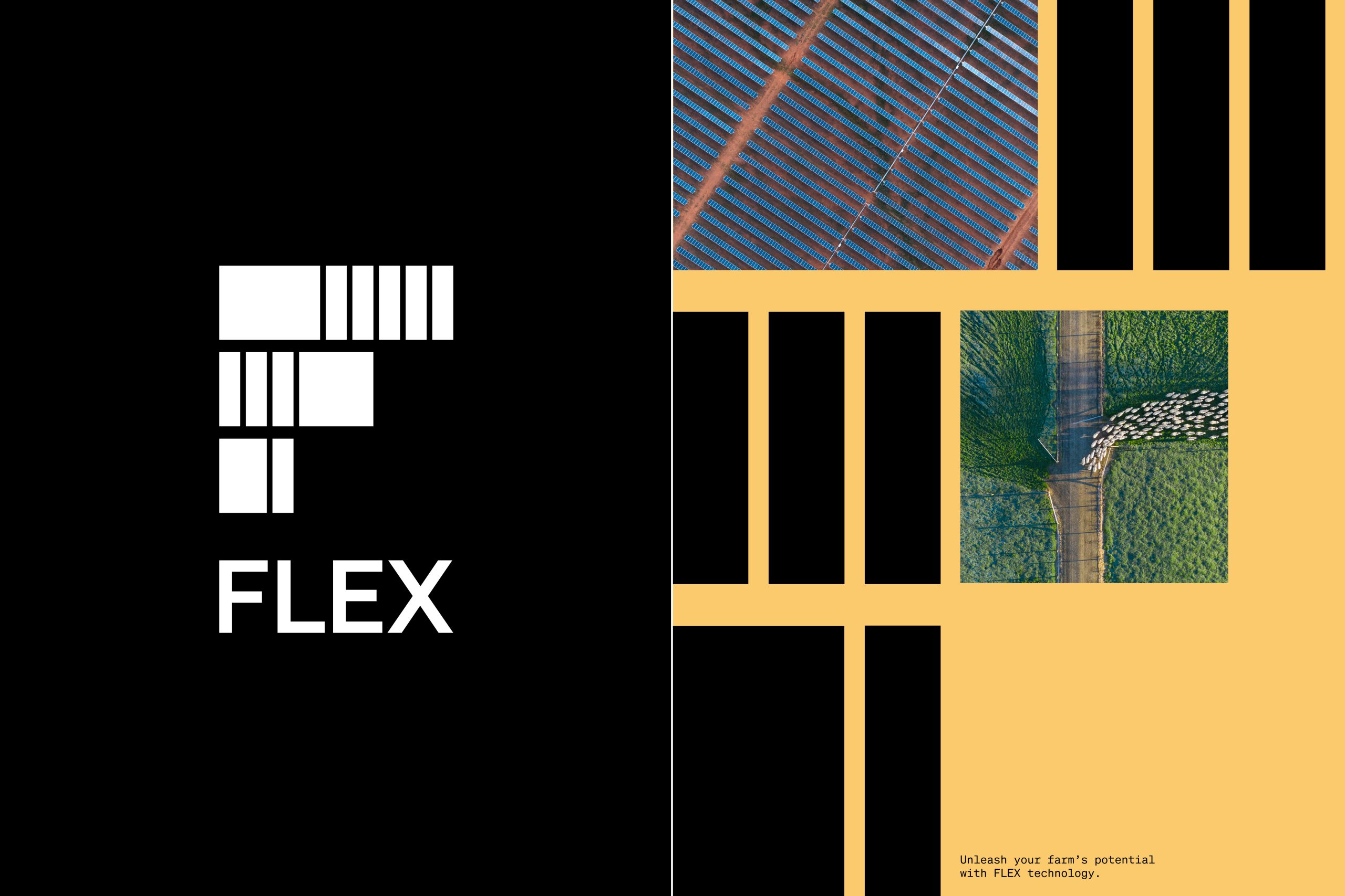Flex_Special_Case-Study_2 - Design Assembly